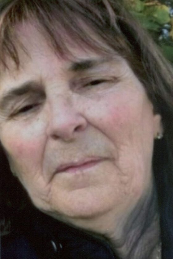 Janice C. Grove 1947-2020 | News, Sports, Jobs - The Vindicator